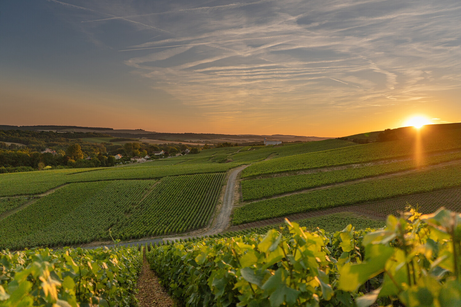 Saint-Émilion : Découvrez pourquoi l'office du tourisme est le meilleur ...