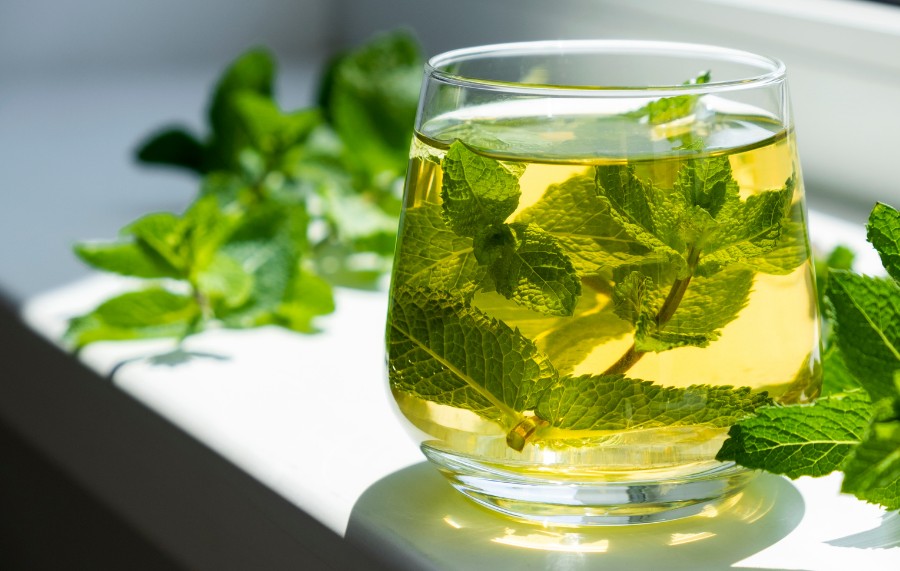 Thé à la menthe : découvrez la sélection Renaissance Tea